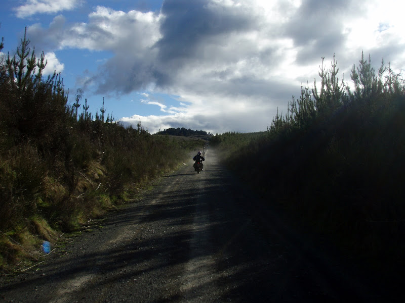 Motu-Matawai-Minginui Midwinter Madness 07 | Adventure Rider