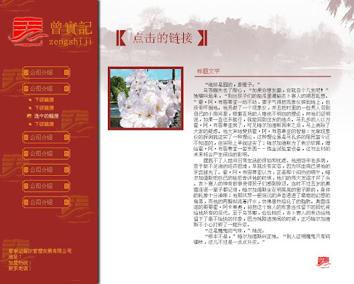 流水: 写网站