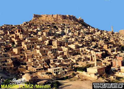 mehmet ayaz: MARDİN MERKEZ İLÇE